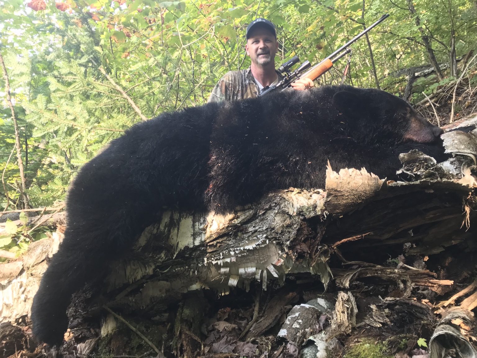 Black Bear – Northeast Wilderness Outfitters