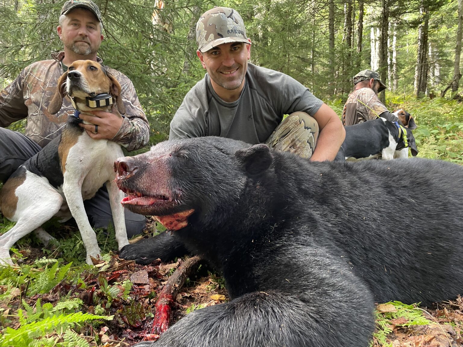 Northeast Wilderness Outfitters – Guided Maine black bear hunting ...